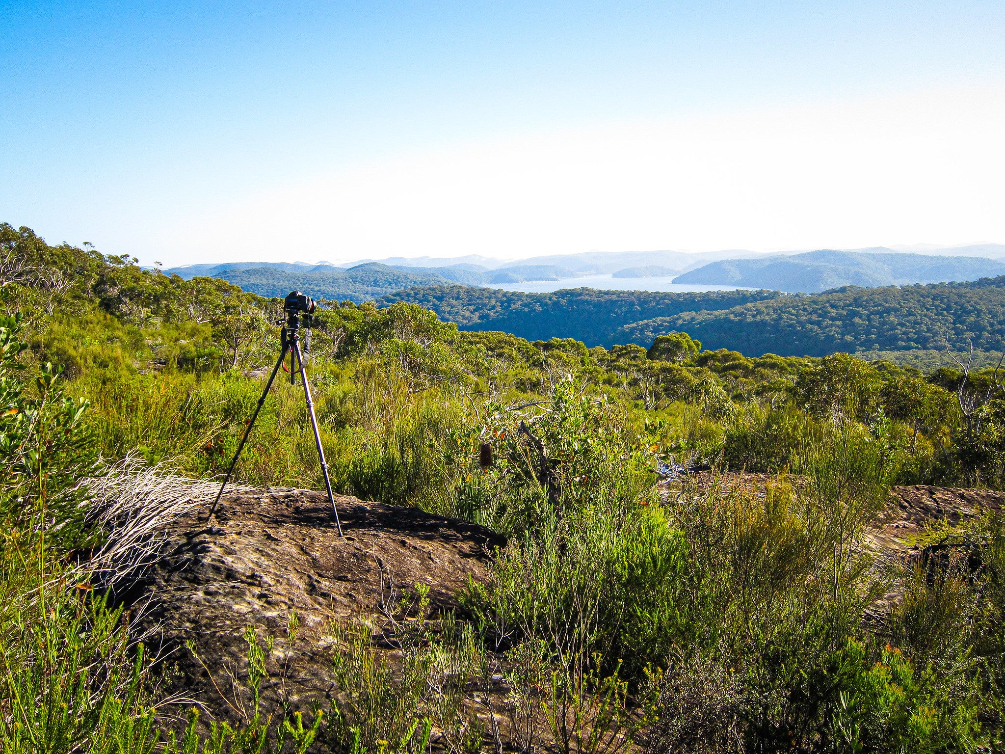 David Field | Association of Corporate Counsel (ACC)